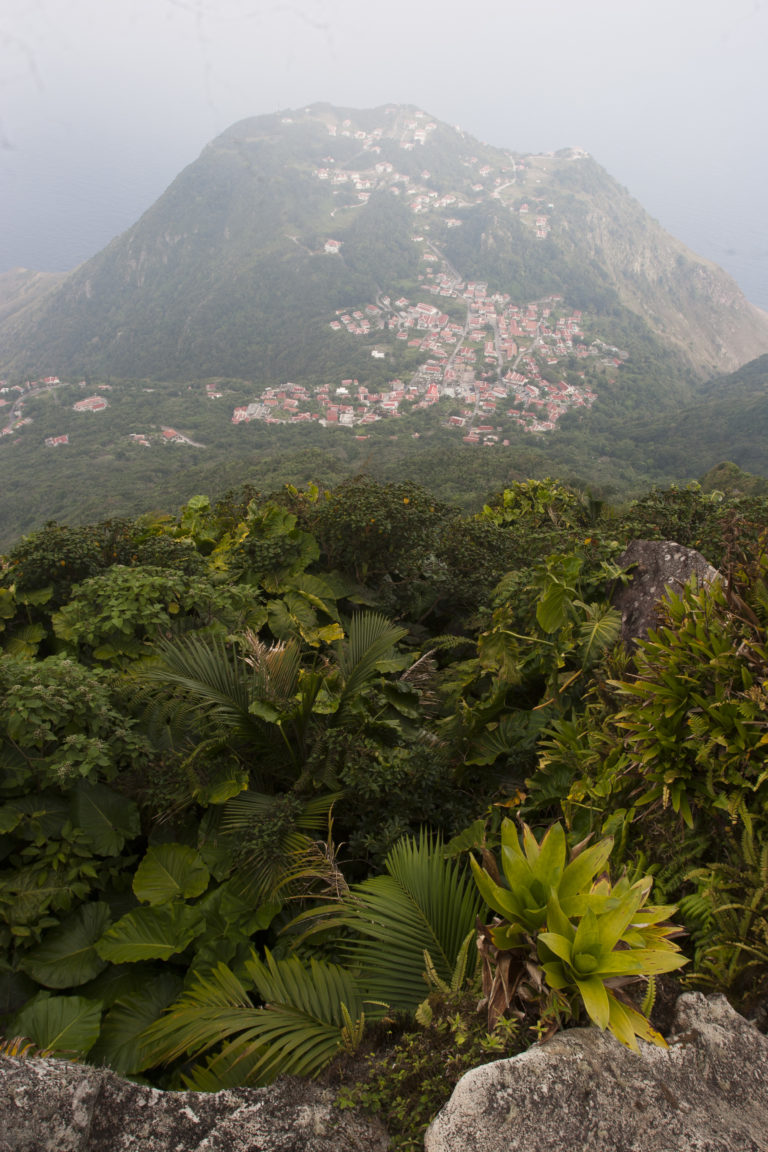 Mt. Scenery | Saba Tourism
