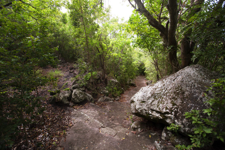 The Ladder | Saba Tourism