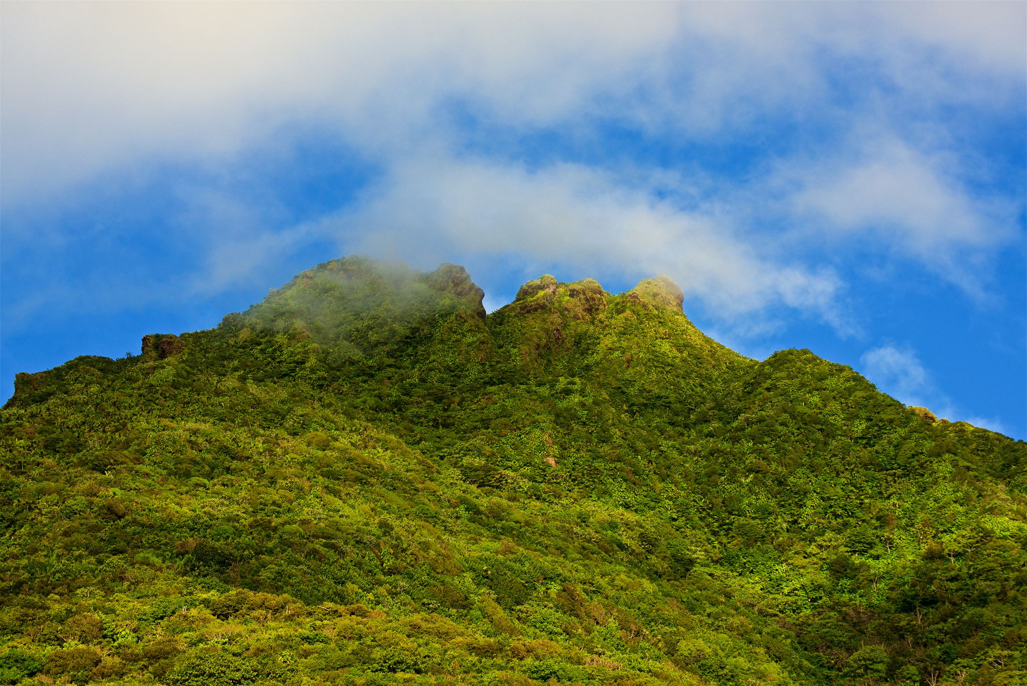 Mount Scenery Summit | Saba Tourism