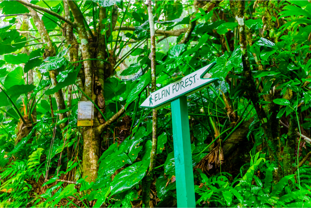 Elfin-forest-sign | Saba Tourism