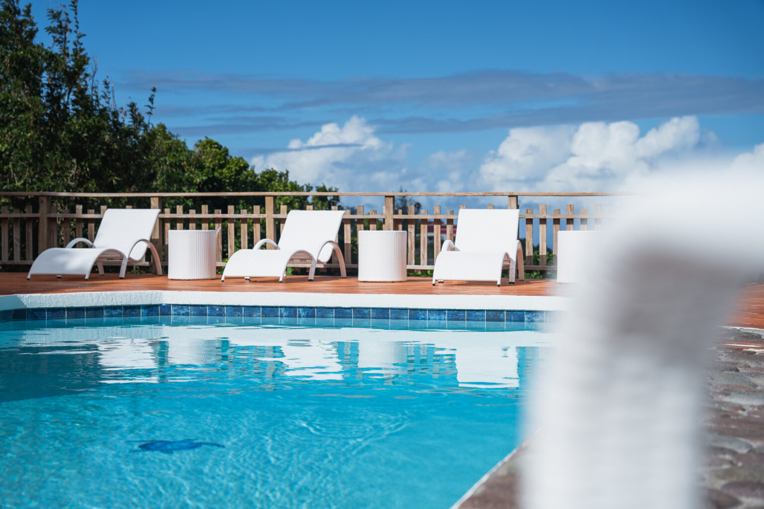 The Cottage Club | Saba Tourism