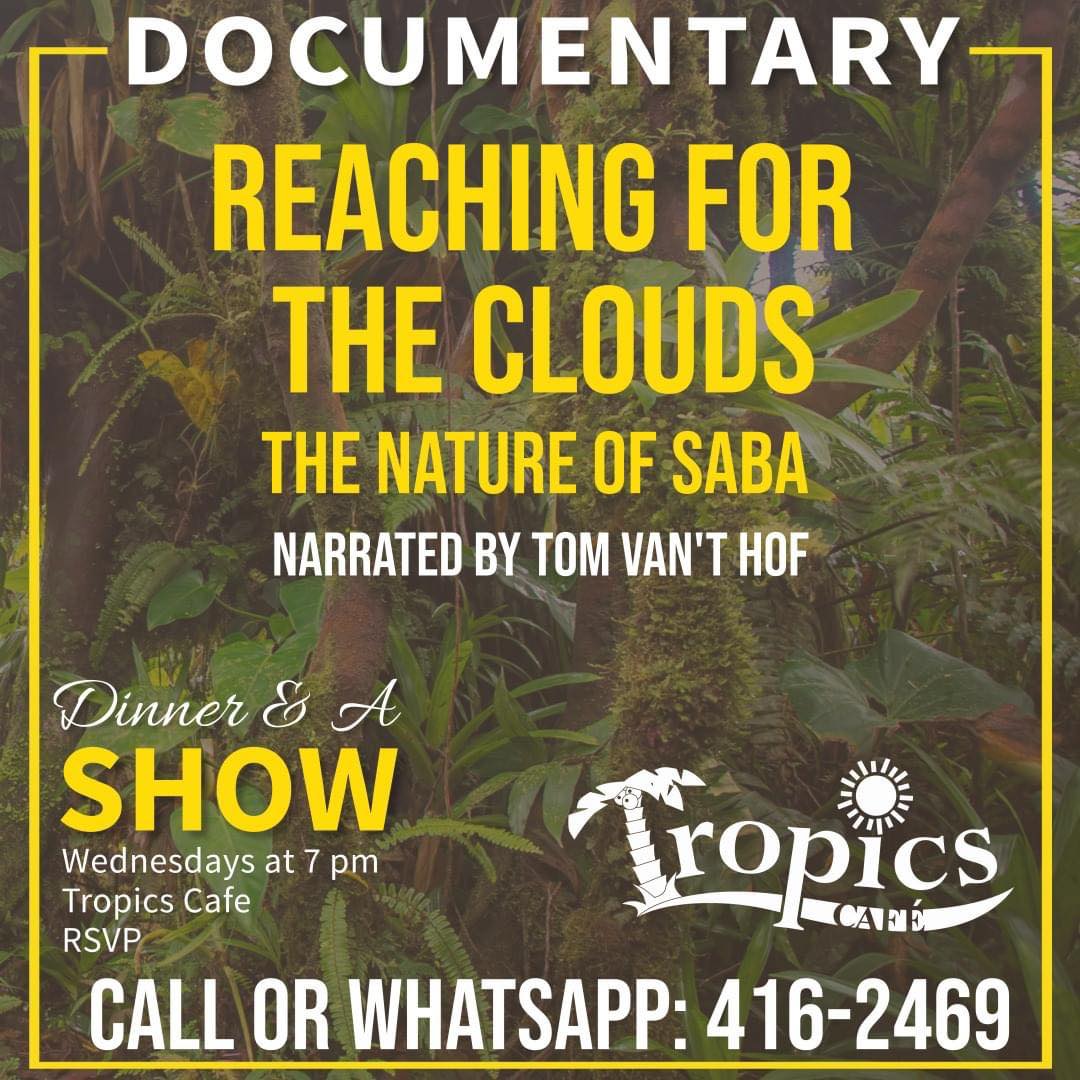 Tropics Café | Saba Tourism