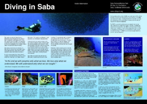 Saba Brochure Diving | Saba Tourism